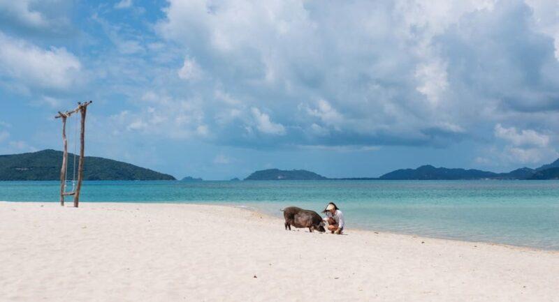 Visiting Koh Mudsum Or The Pig Island In Samui - MomFilter